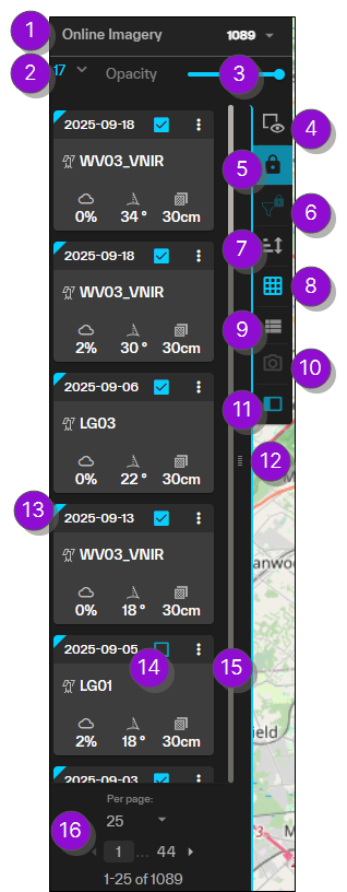 Overview: Imagery Panel